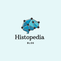 First Fifa World Cup – Histopedia