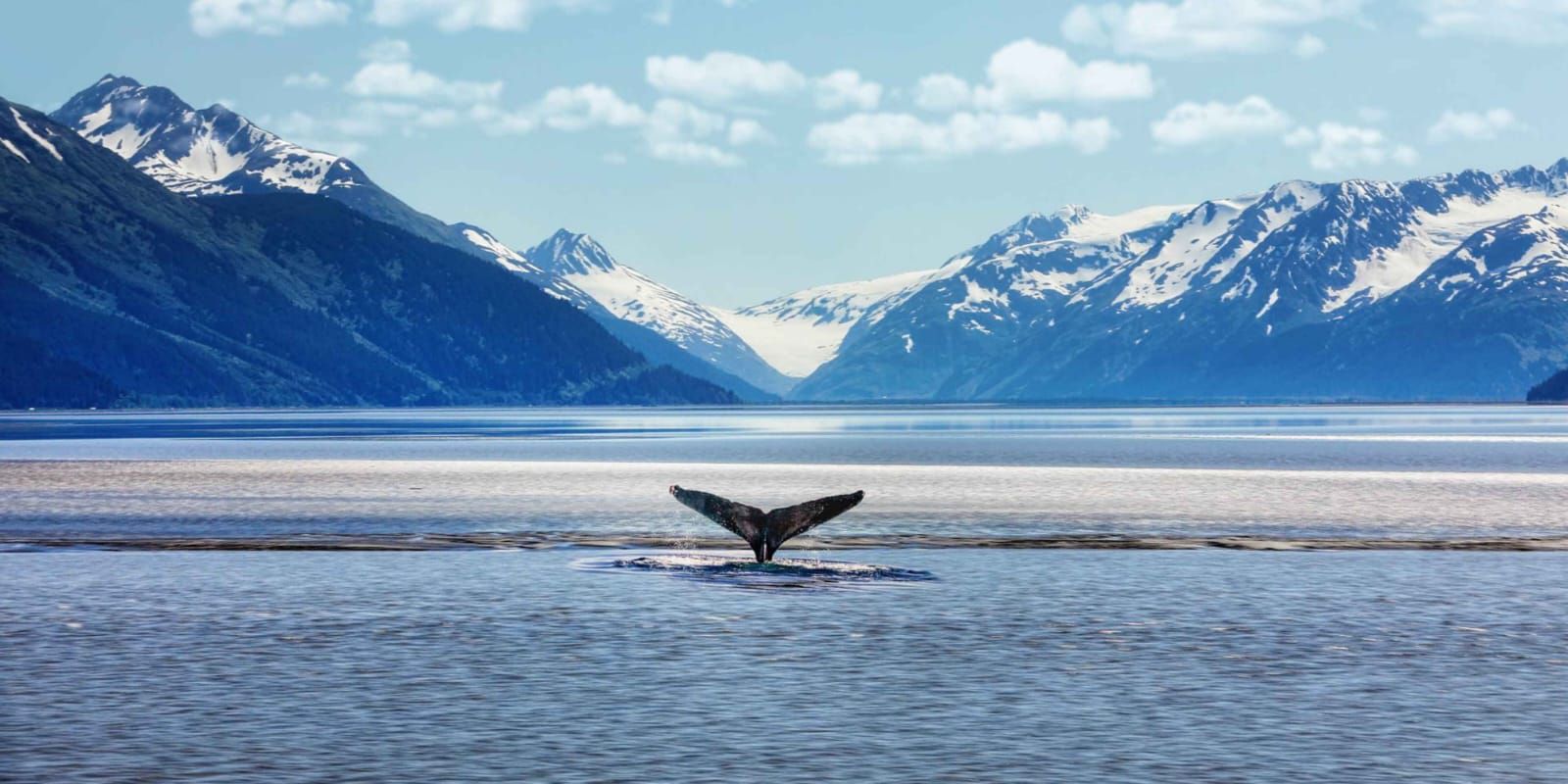 The Complex History of Alaska: A Story of Purchase and Settlement ...